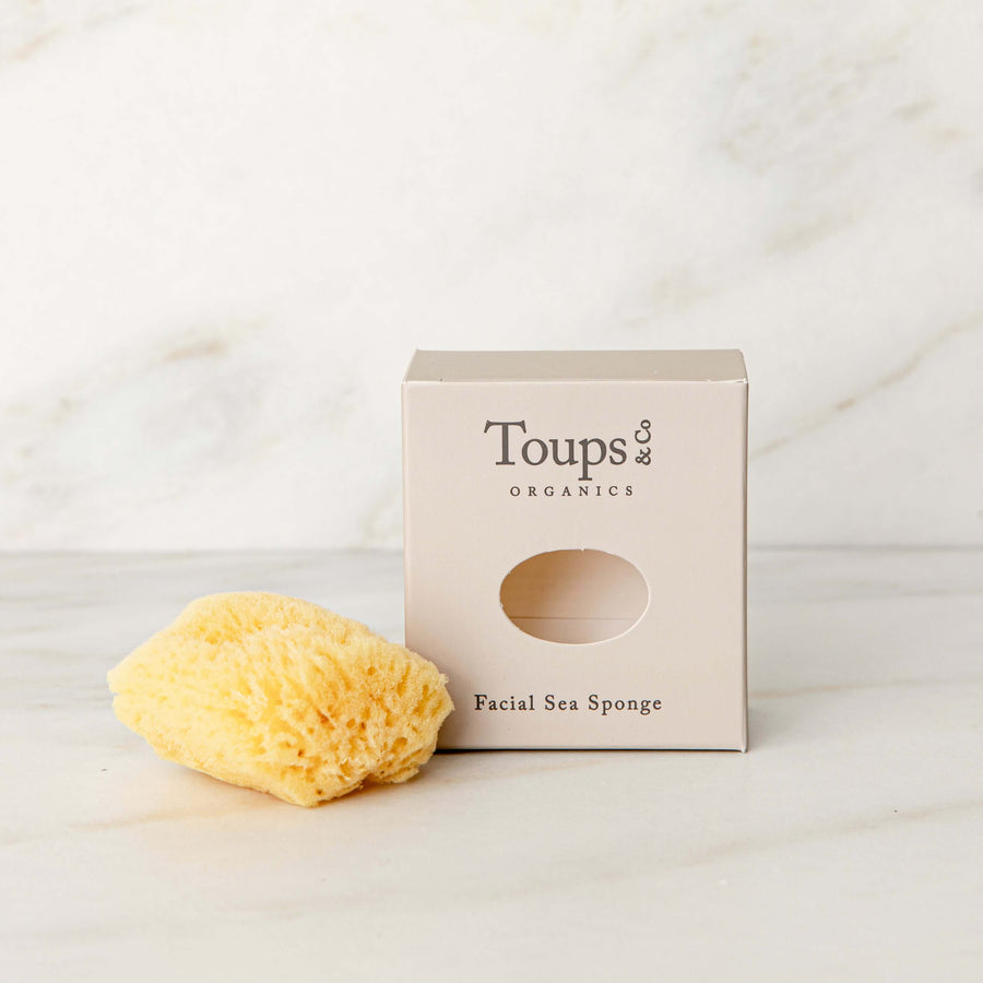 Facial Sea Sponge
